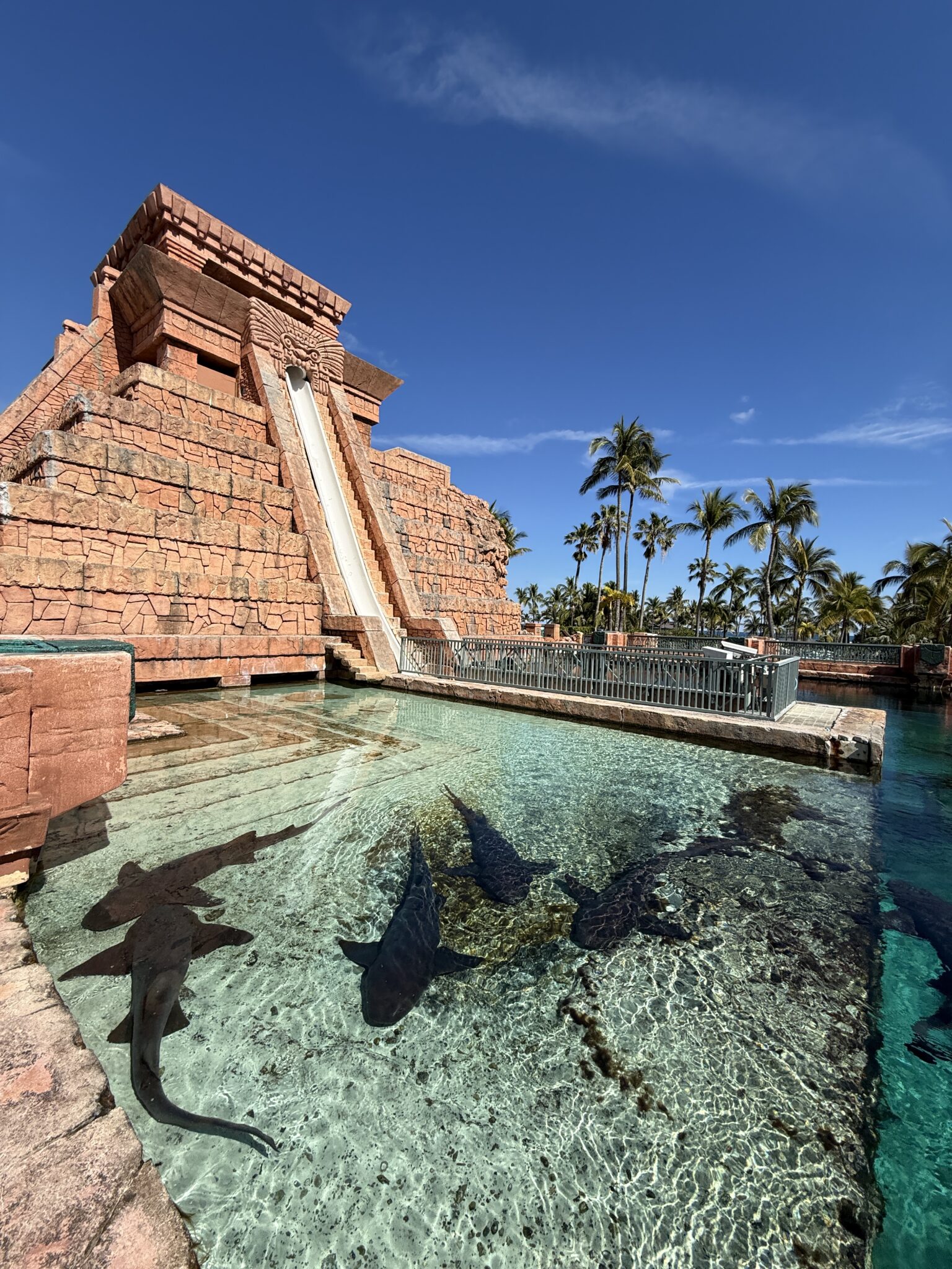 Atlantis Bahamas Resort Guide (2026): Is Atlantis Paradise Island Worth ...